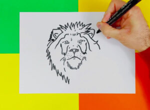 Comment dessiner un lion ? Découvrez le tuto