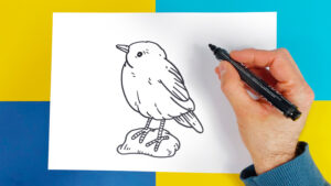 Comment dessiner un oiseau ? [Tuto dessin]