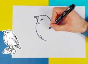 Comment dessiner un oiseau ? [Tuto dessin]