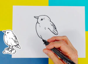 Comment dessiner un oiseau ? [Tuto dessin]