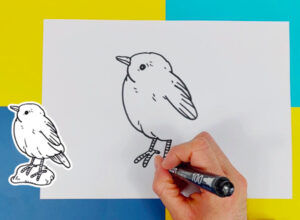 Comment dessiner un oiseau ? [Tuto dessin]