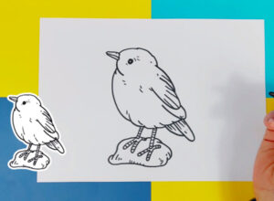 Comment dessiner un oiseau ? [Tuto dessin]